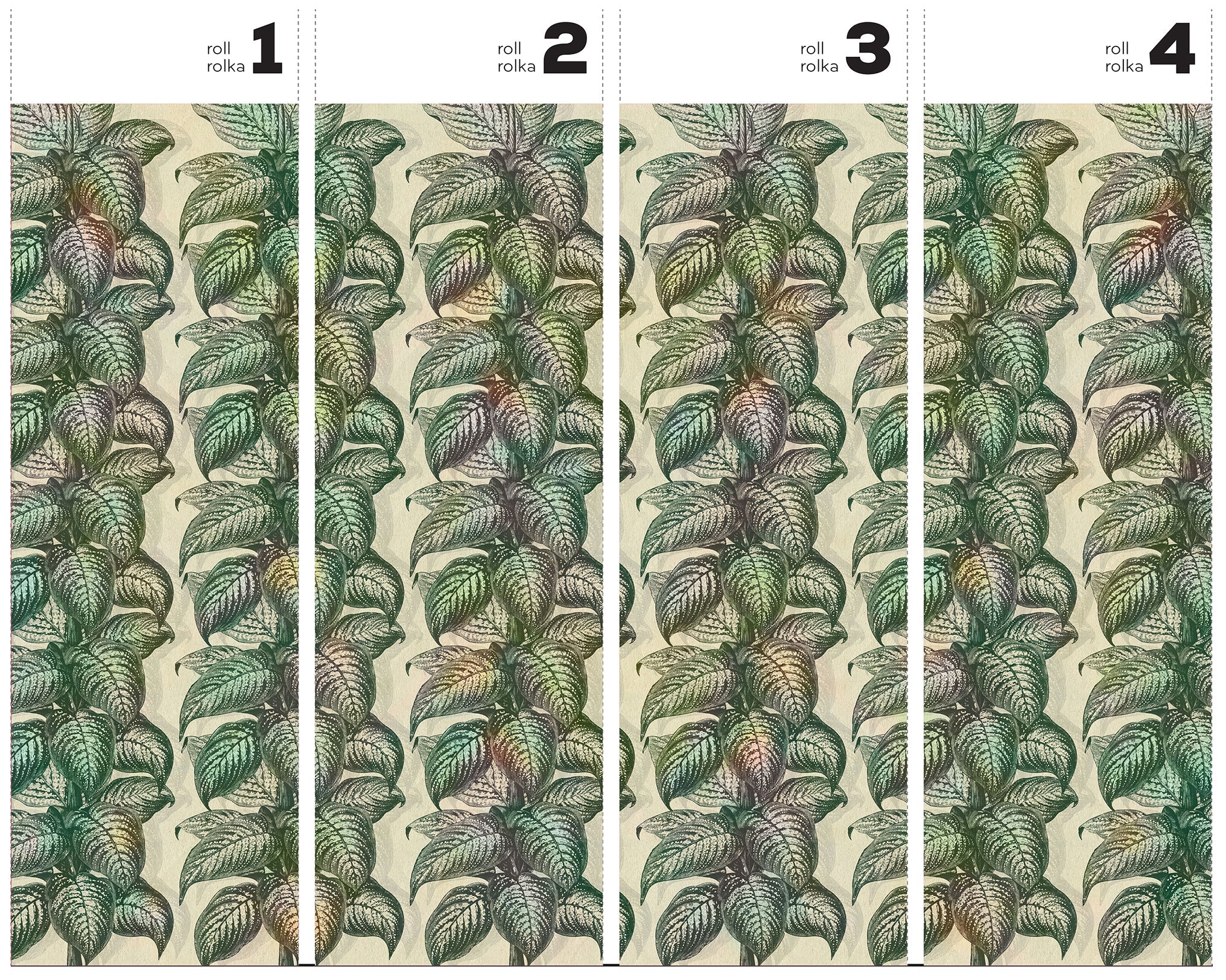 Magnifica Saturated - Wallpaper in standardized rolls – Wall Art Wallpapers